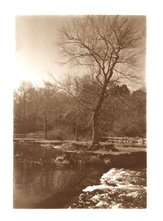 Randy Knight - Photography, Paintings & Prints, Drawings & Illustration