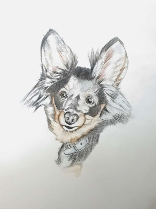Dog - Jack The Artist - Paintings & Prints, Animals, Birds, & Fish ...