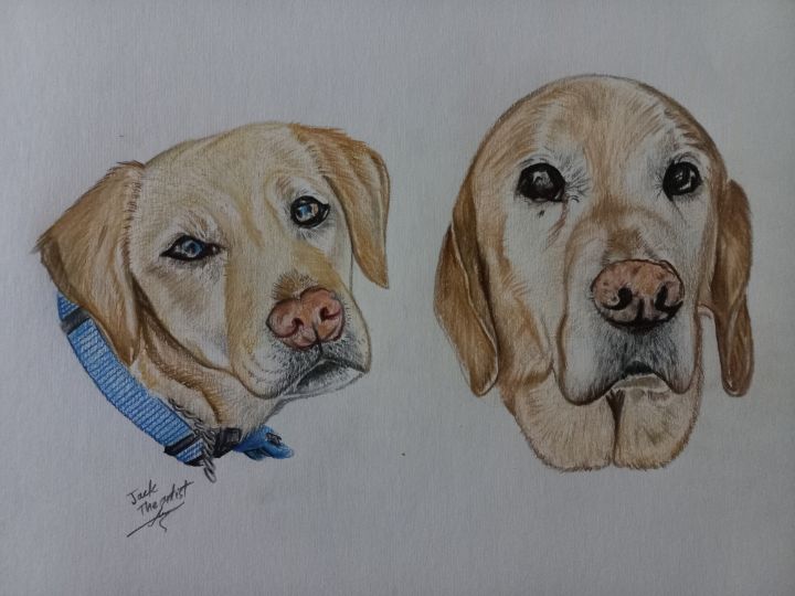 Dogs - Jack The Artist - Drawings & Illustration, Animals, Birds ...