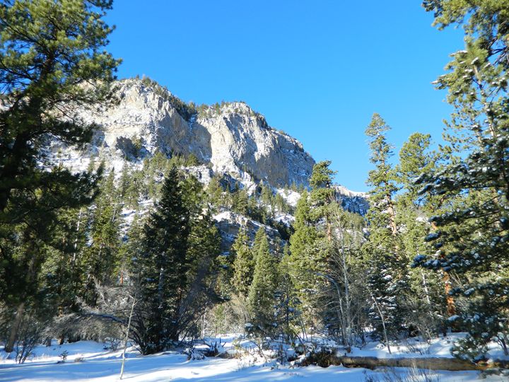 Winter Time - Markell Smith Gallery - Photography, Landscapes & Nature ...