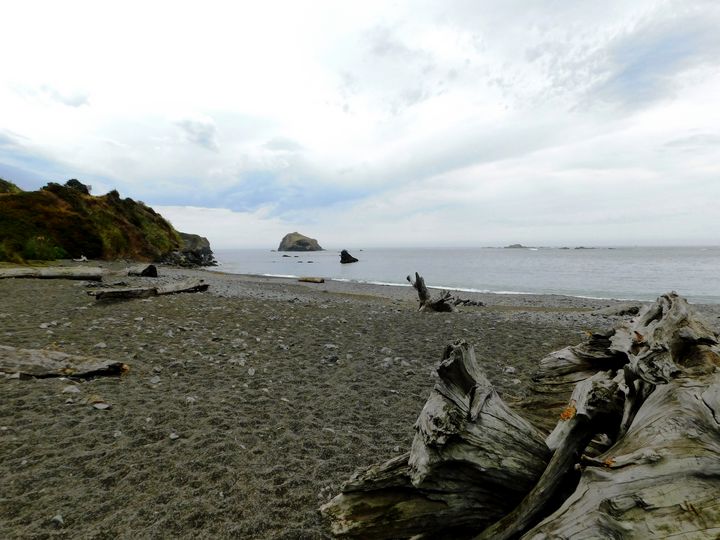Driftwood Cove - Luxury Adventure Traveler - Photography, Landscapes ...