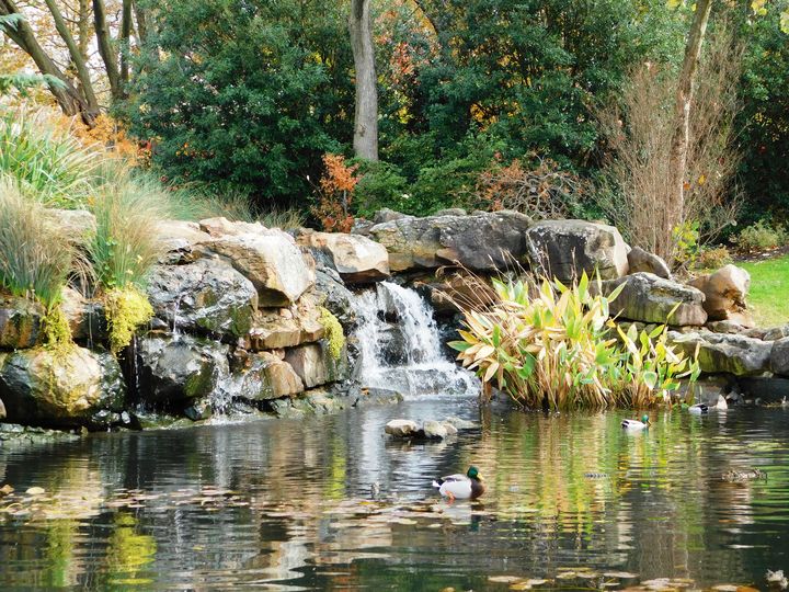 Pond Falls - Luxury Adventure Traveler - Photography, Landscapes ...