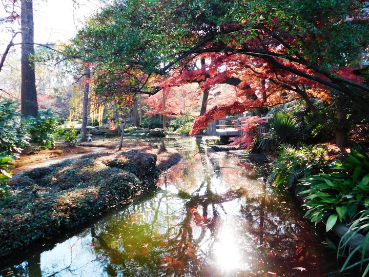 The Reflection Pond - Markell Smith Gallery - Photography, Landscapes ...