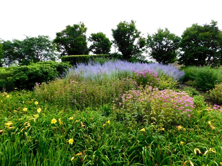 The Garden - Markell Smith Gallery - Photography, Landscapes & Nature ...