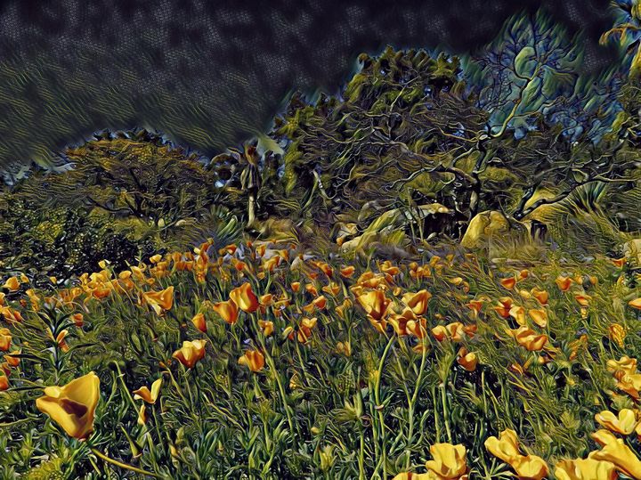 The Poppy Field - Luxury Adventure Traveler - Paintings & Prints ...