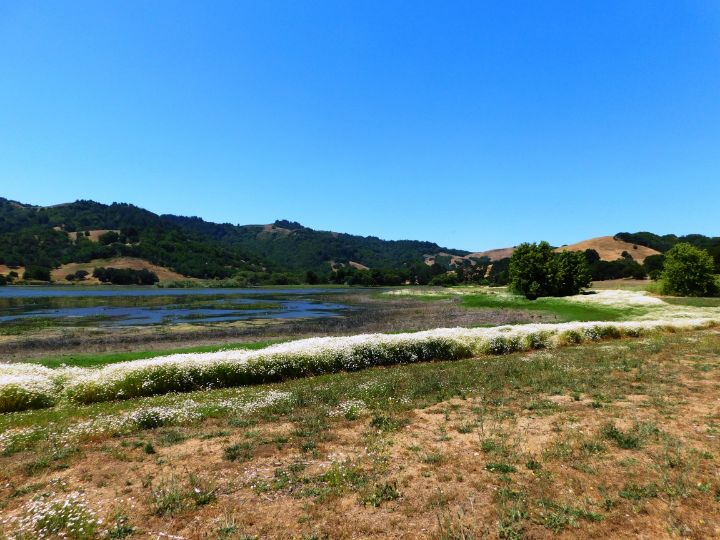 Stafford Lake - Luxury Adventure Traveler - Photography, Landscapes ...