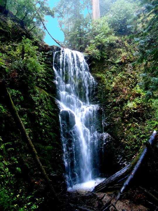 Berry Creek Falls - Markell Smith Gallery - Photography, Landscapes ...