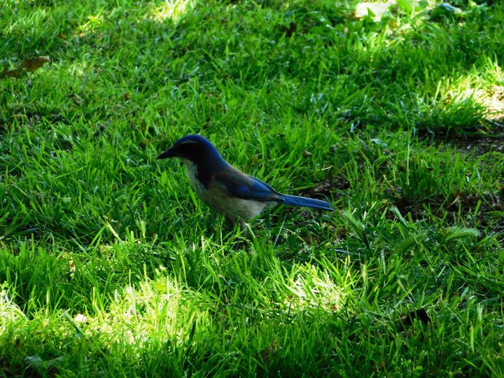 The Blue Jay - Luxury Adventure Traveler - Photography, Landscapes ...