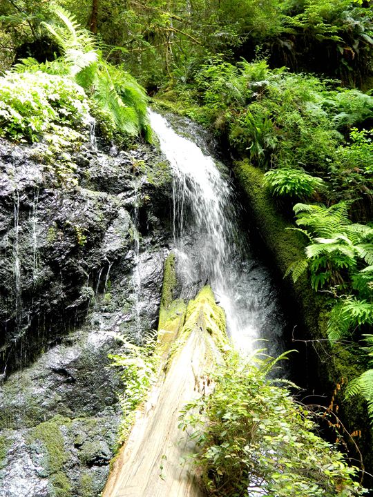 Mendocino Falls - Markell Smith Gallery - Photography, Landscapes ...
