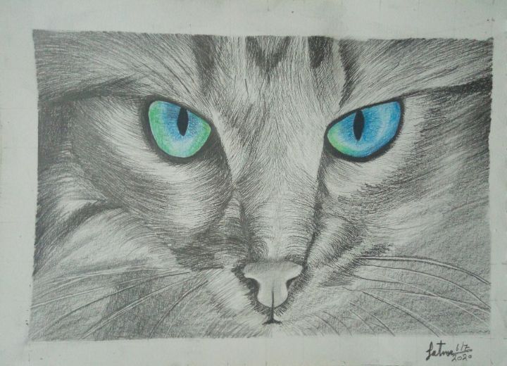 A blue eyes cat - violet fa - Drawings & Illustration, Animals, Birds ...