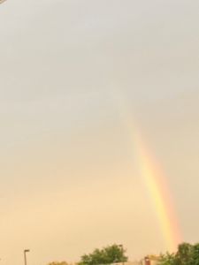 Lynnette Marie’s Art Gallery - Digital Art & AI, Paintings & Prints ...