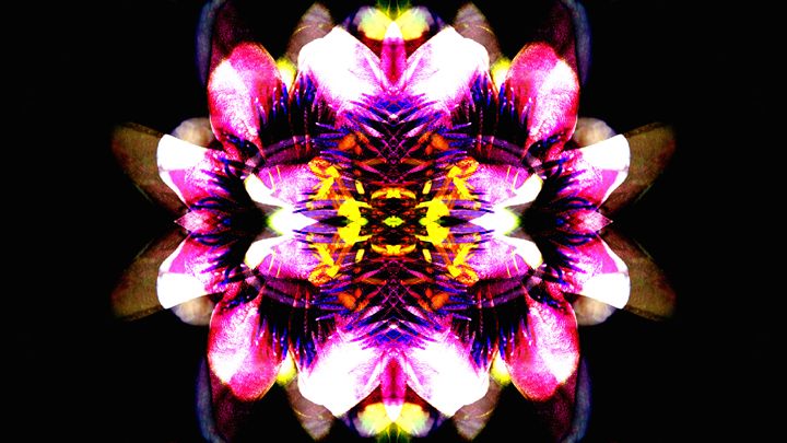 Floral mirroring 1 - Hypnothetical - Digital Art & AI, Flowers, Plants ...