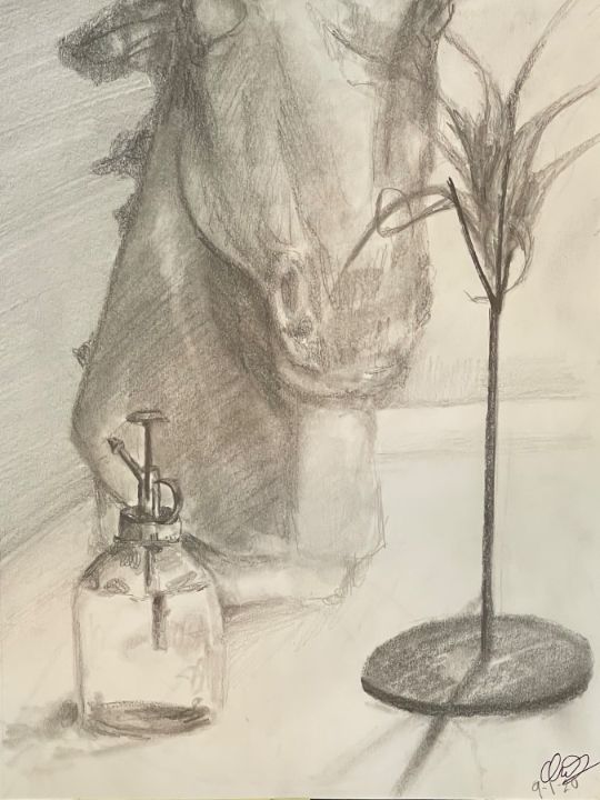 Still-Life Study - Art by O - Drawings & Illustration, Still Life ...