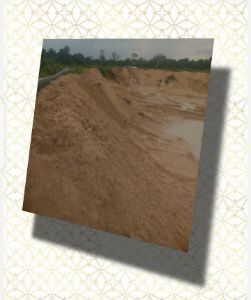 Timi's Arts world. - Photography