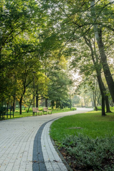 Park Path with Benches - Czajnikolandia - Photography, Landscapes ...