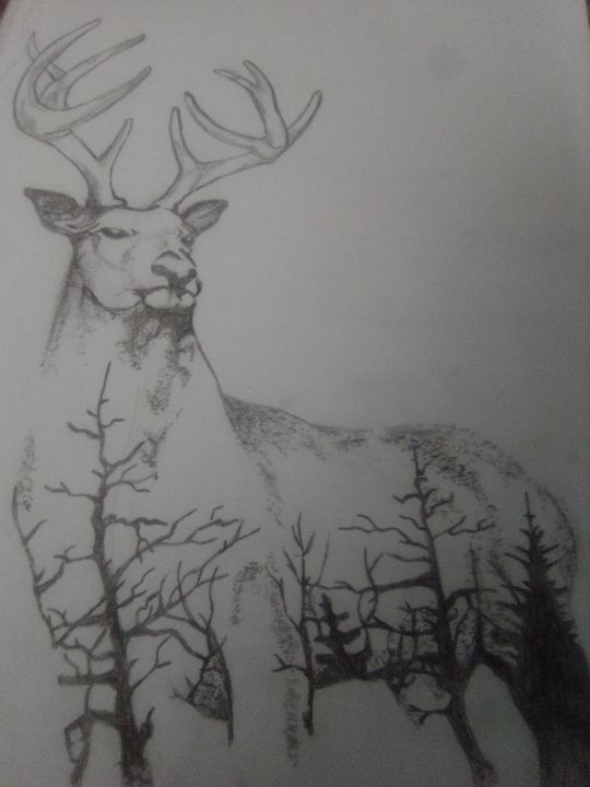 Alwande - Drawings & Illustration