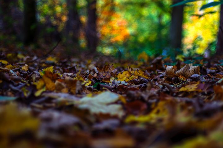 Crunchy way - by Photoart-Naegele - Photography, Landscapes & Nature ...