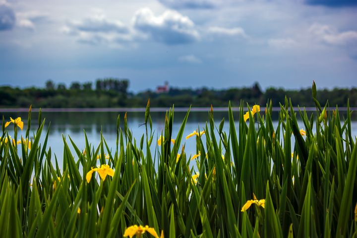 Nice view over a lake - by Photoart-Naegele - Photography, Places ...