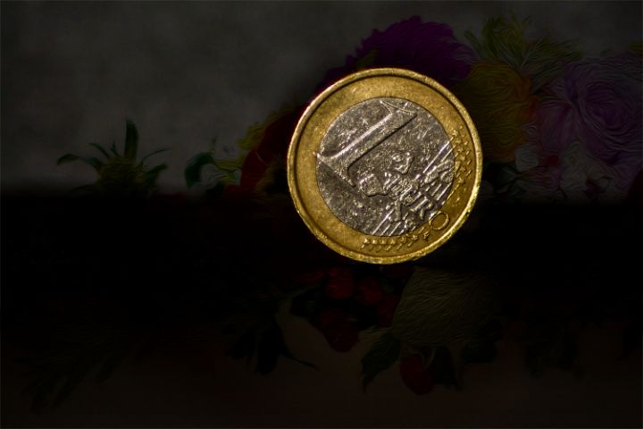 Financial : Flower currency - by Photoart-Naegele - Photography, Places ...