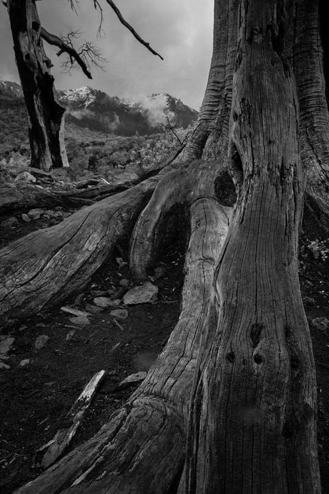 Beautiful decay - Jacobsz Photography Videography - Photography ...