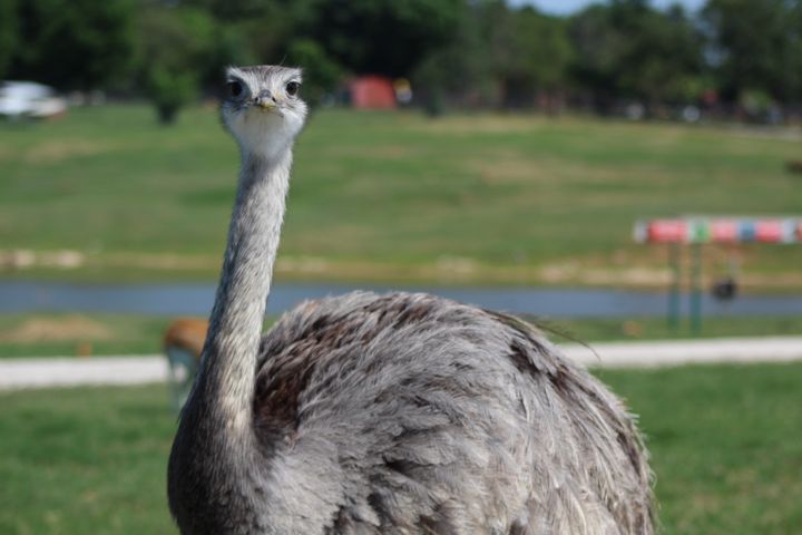 Rhea Sizes Me Up - Nina La Marca Artistic Photography - Photography ...