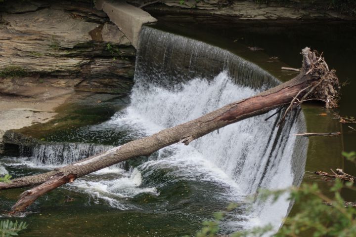 Fallen Tree at East River Falls - Nina La Marca Artistic Photography ...