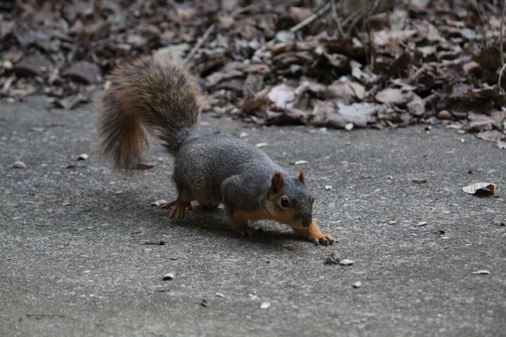 Sneaking Up on You - Nina La Marca Artistic Photography - Photography ...