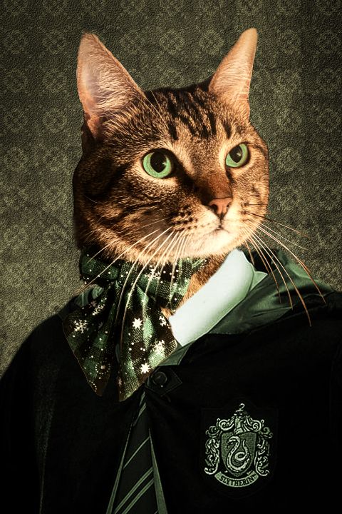 Sir Jackson - Ah'ramond Corinth - Digital Art & AI, Animals, Birds ...