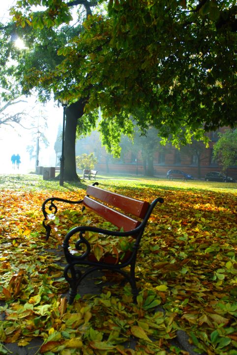 Park in Wloclawek - Jacek Rutkowski - Paintings & Prints, Landscapes ...