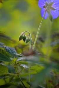 Jacek Rutkowski - Photography, Paintings & Prints