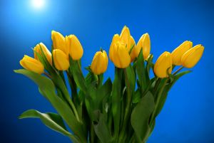 Jacek Rutkowski - Photography, Paintings & Prints