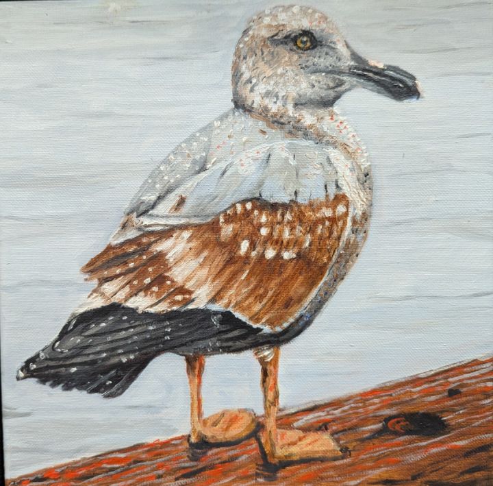 Venice Pier. Seagull - Mark - Paintings & Prints, Animals, Birds ...