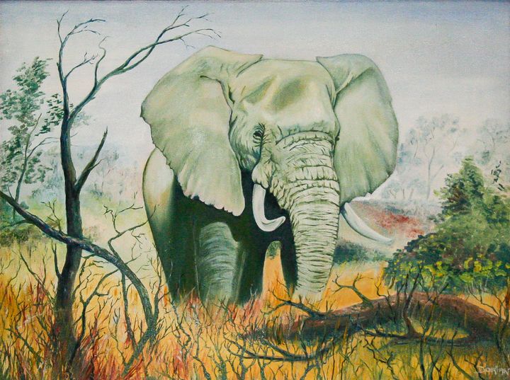African Landscapes With Elephant