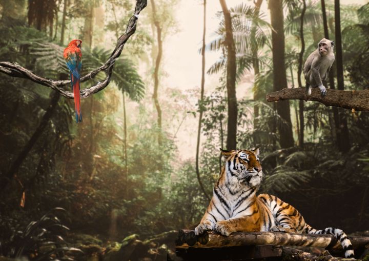 A Day in the Jungle - Rising Storm Photography - Digital Art & AI ...