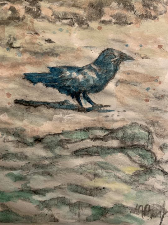 Torrey Pines Crow - Michelle Boyle Art - Paintings & Prints, Landscapes ...