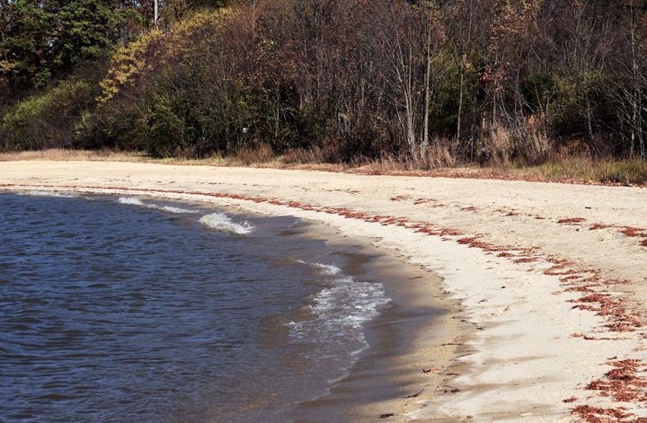 Shore at Jamestown Beach - Angela Ronk 24k FX Design - Photography ...