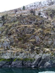 Danielle Chambless - Photography, Drawings & Illustration