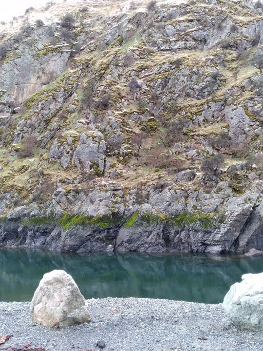 Danielle Chambless - Photography, Drawings & Illustration