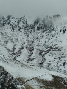 Danielle Chambless - Photography, Drawings & Illustration