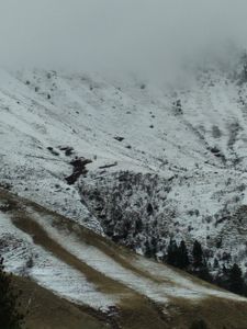 Danielle Chambless - Photography, Drawings & Illustration