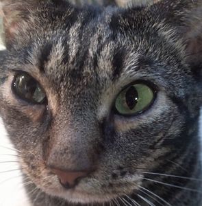 Danielle Chambless - Photography, Drawings & Illustration