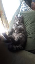 Danielle Chambless - Photography, Drawings & Illustration