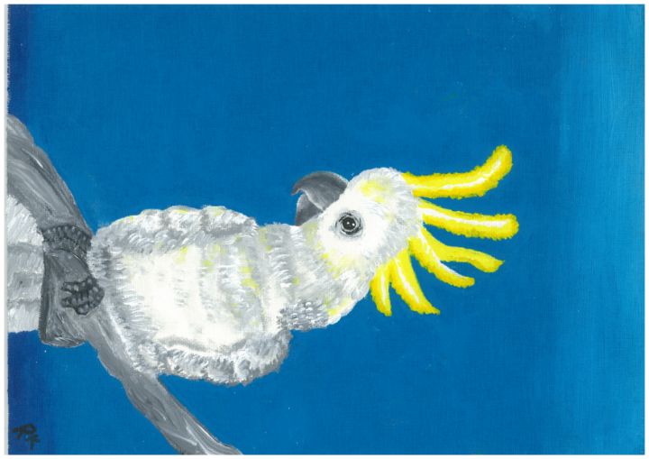 Renee K - Paintings & Prints