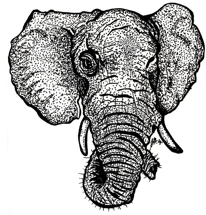 The Elephant - Jackson Gilvar - Drawings & Illustration, Animals, Birds ...