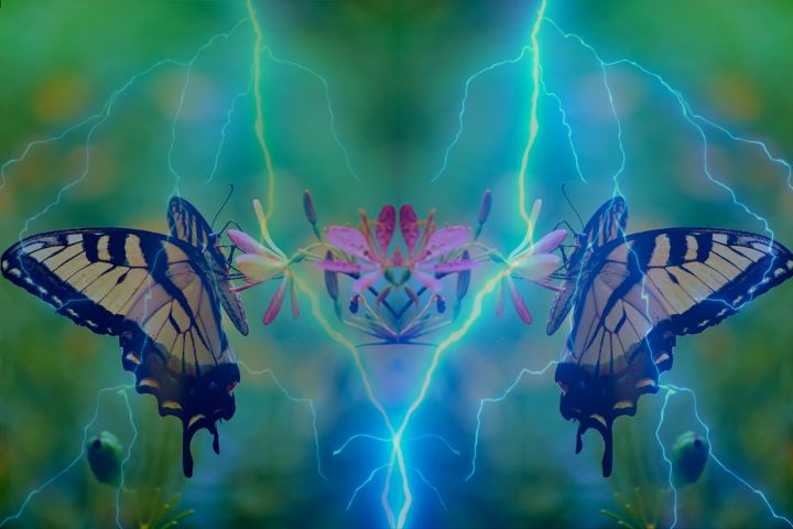 Electric Butterflies - chrismercerimages - Digital Art & AI, Abstract ...