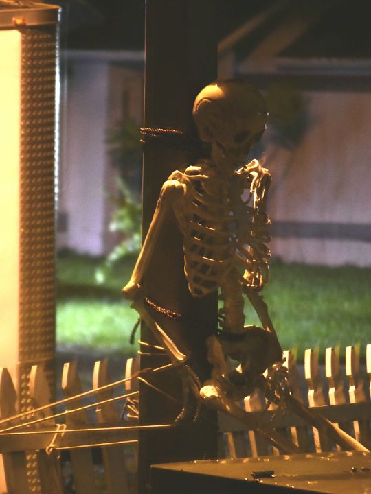 Hurricane Milton Skeleton - chrismercerimages - Photography, Landscapes ...