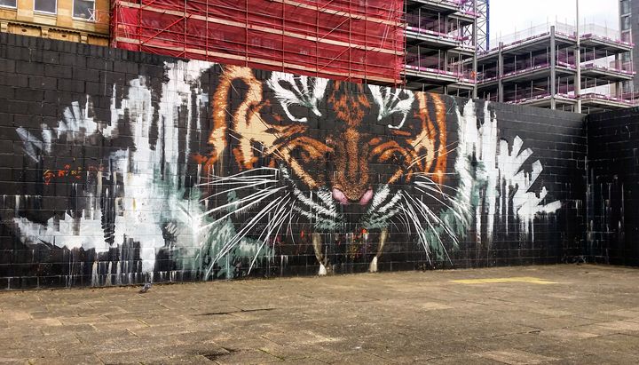 Tiger wall art. - David Travers - Paintings & Prints, Animals, Birds ...