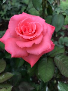 Nicholas Beam - Drawings & Illustration, Photography