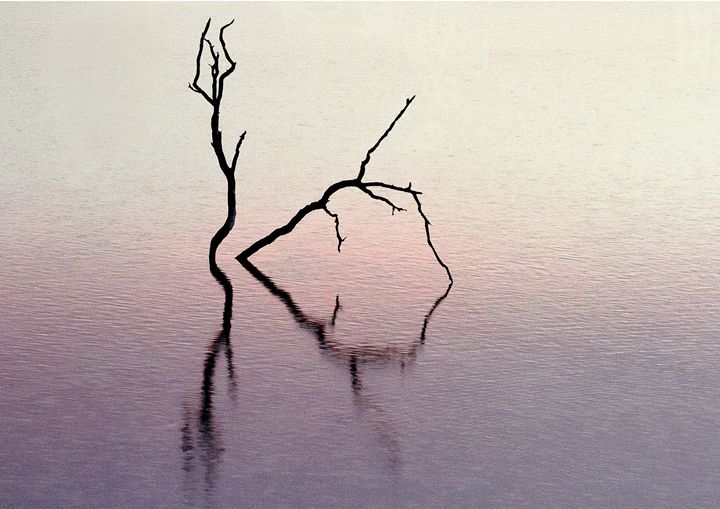 Weaver Photos - Photography