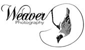 Weaver Photos - Photography